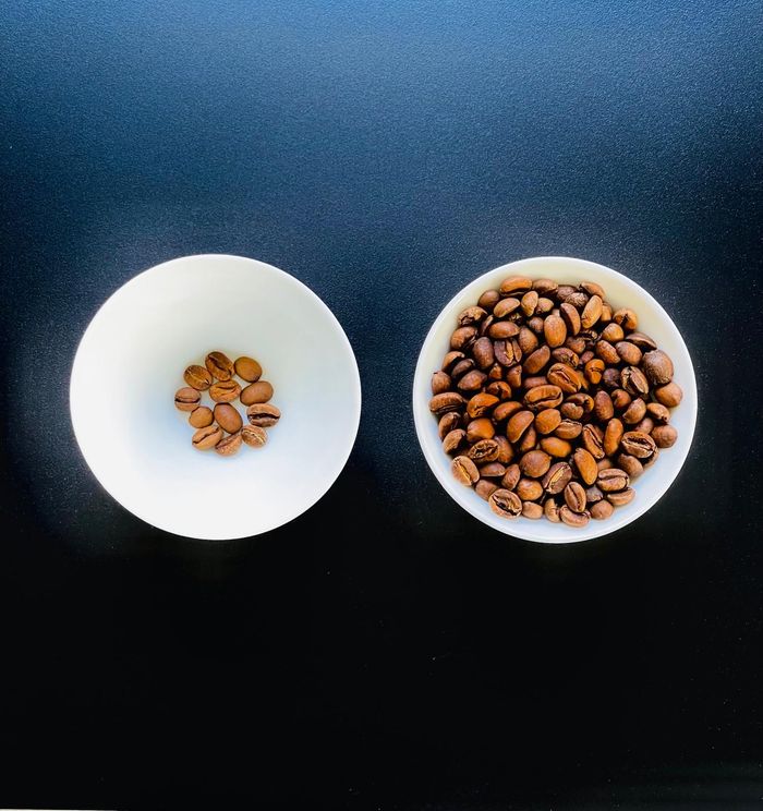 Why are quakers in coffee called quakers? | Coffee Knowledge Hub