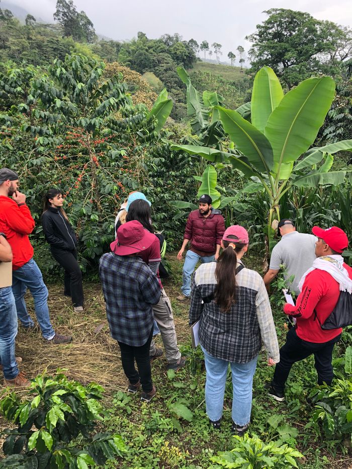 Home | Coffee Knowledge Hub